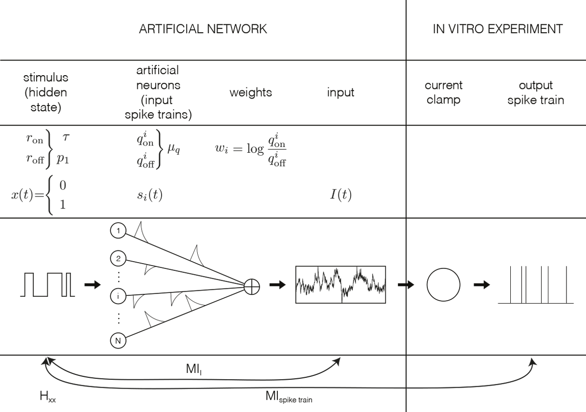 Fleur Zeldenrust - Methods and techniques