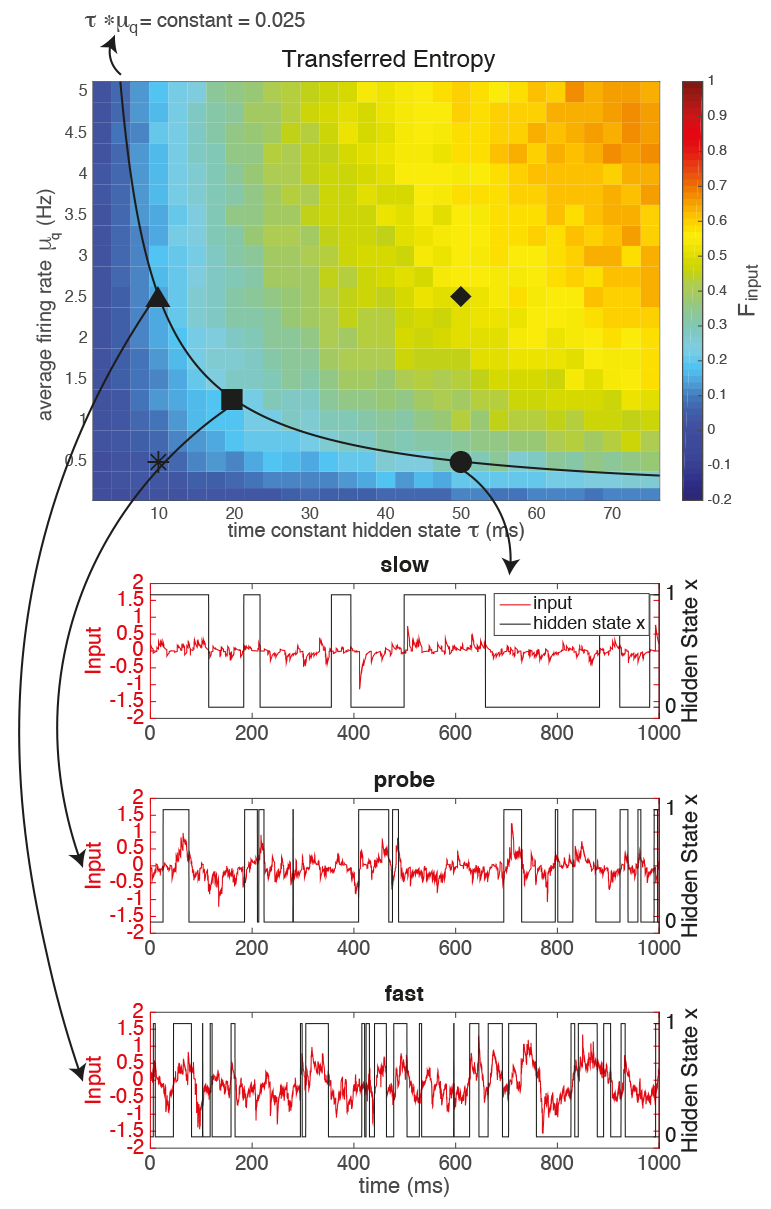 Fleur Zeldenrust - Methods and techniques