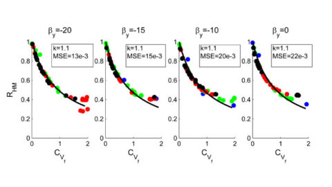 Fleur Zeldenrust - Burst coding