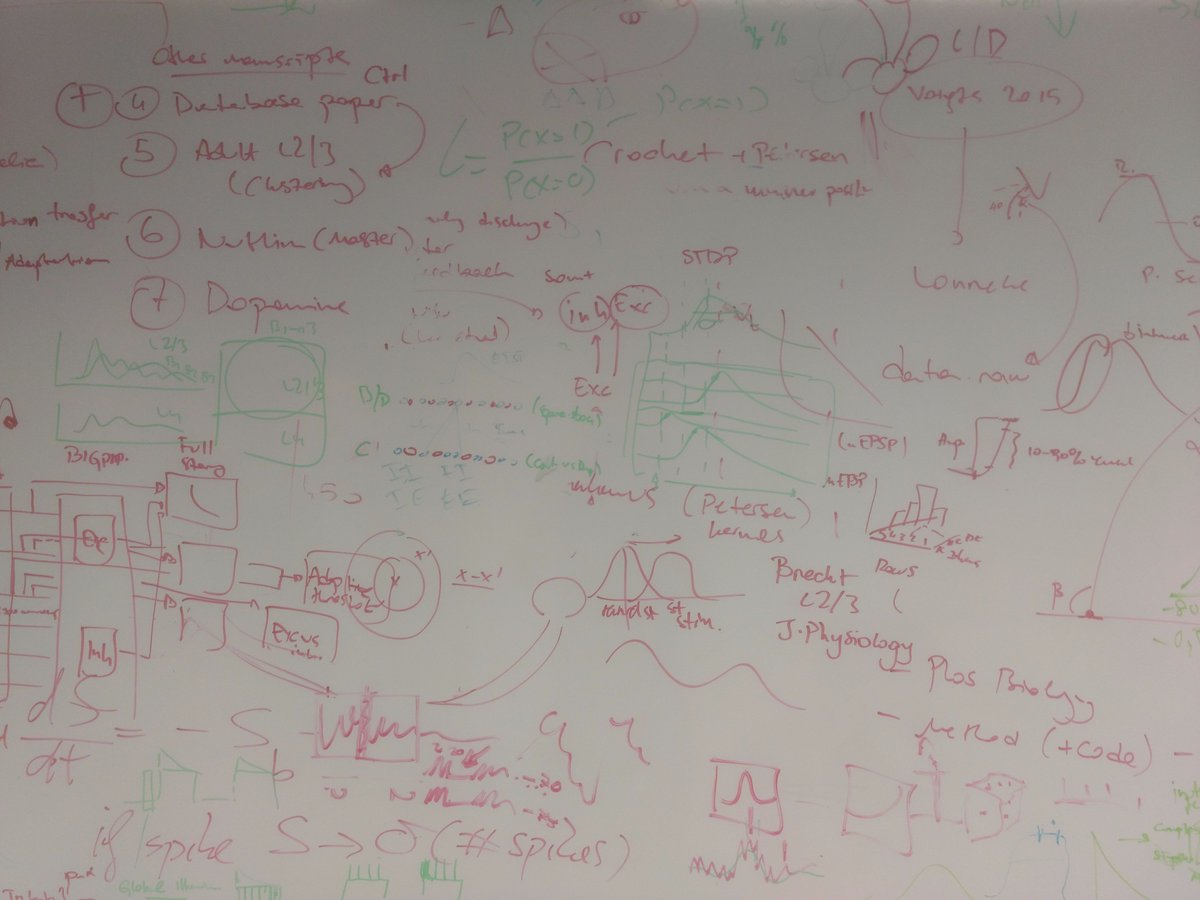 Fleur Zeldenrust - University teaching