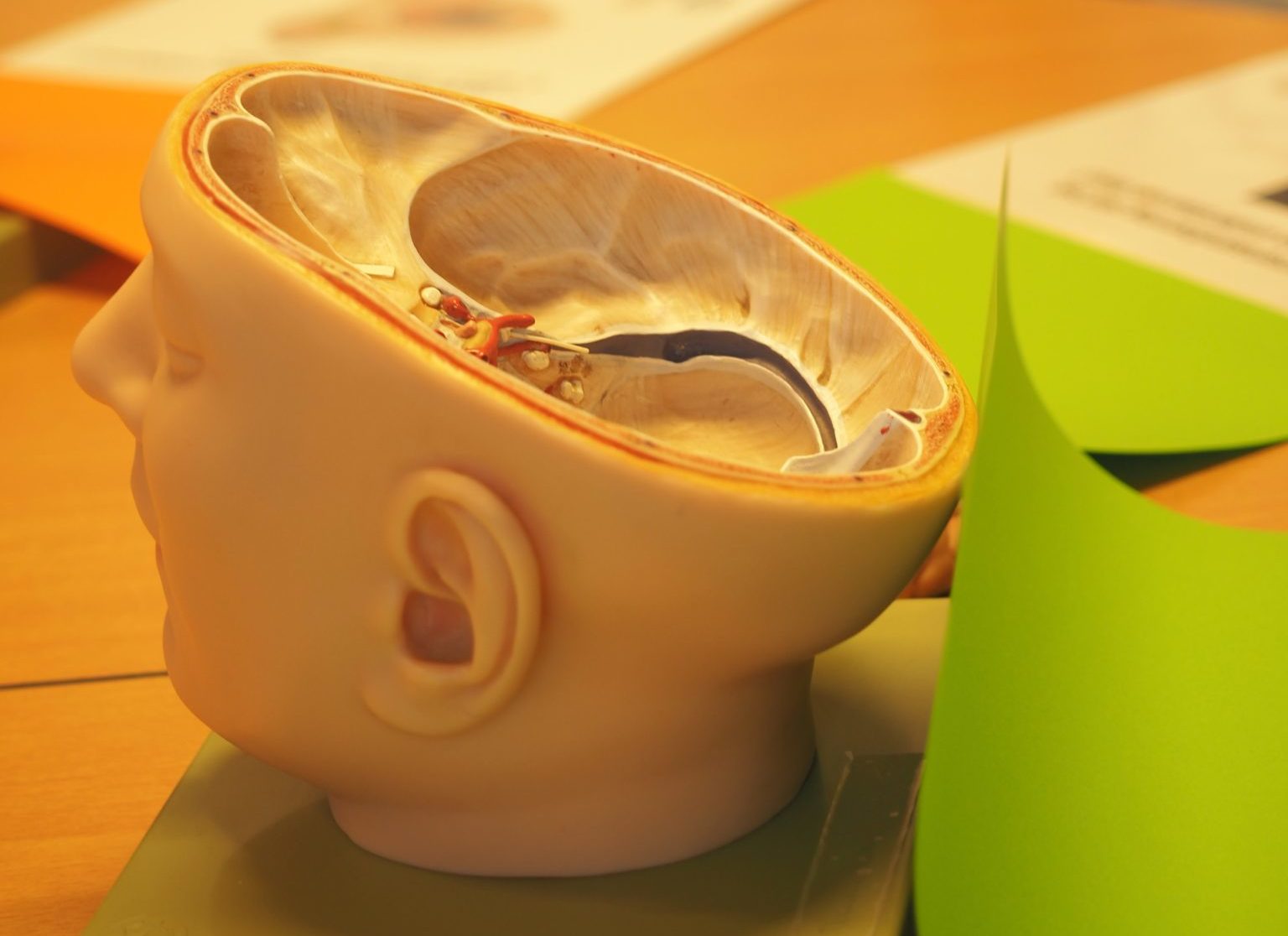 Fleur Zeldenrust - Academic Presentations